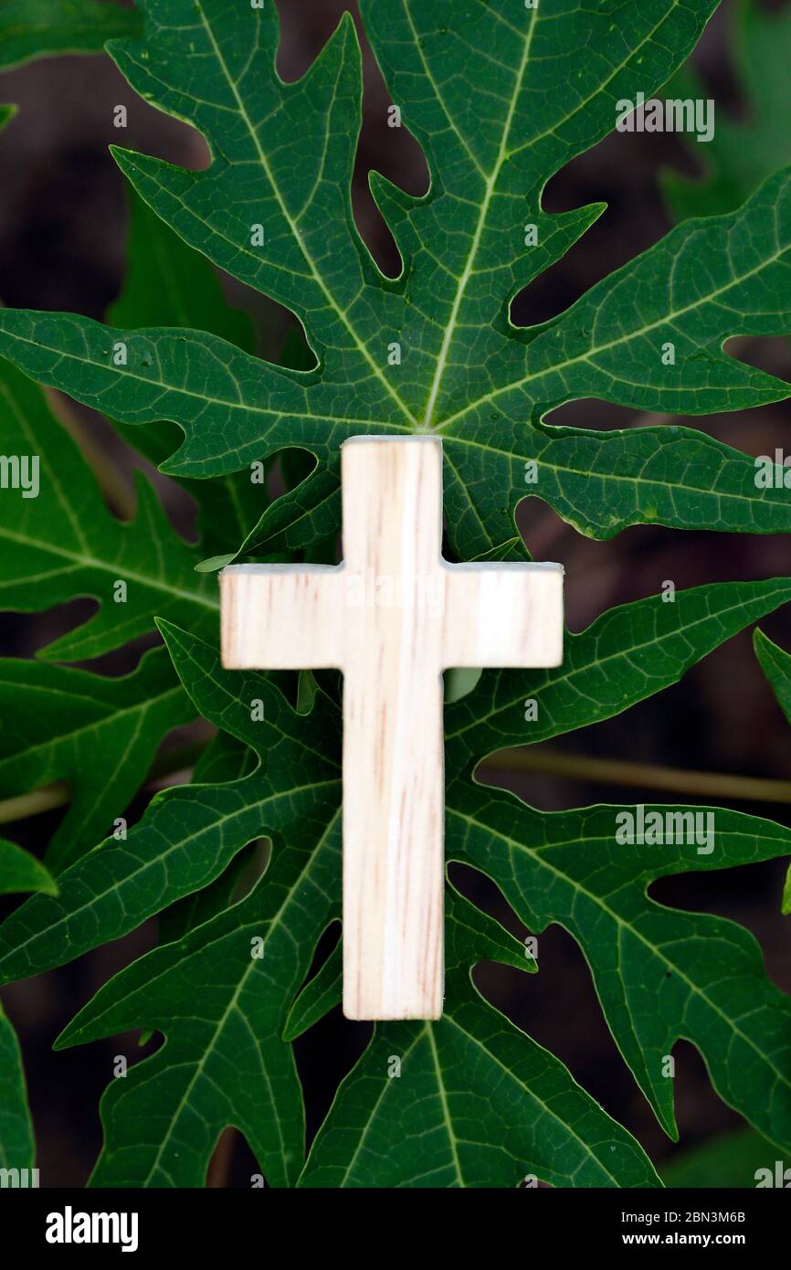 Leave roman hi-res stock photography and images - Alamy