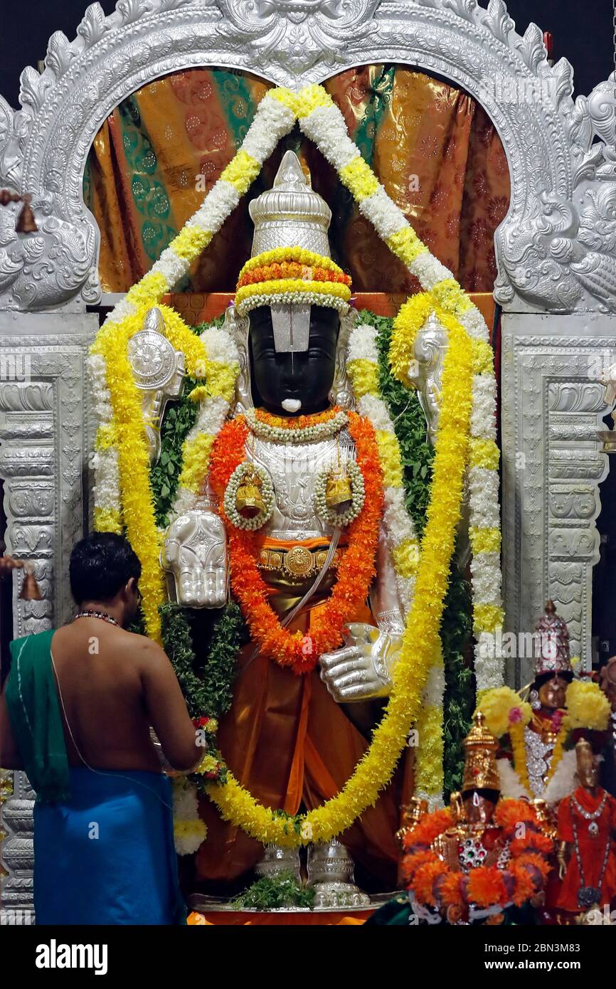 Hindu temple and shrine of Batu Caves. Hindu priest doing puja worship ...