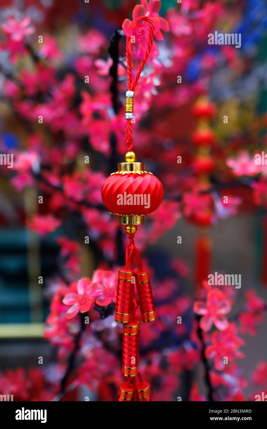 Guan tree hi-res stock photography and images - Alamy
