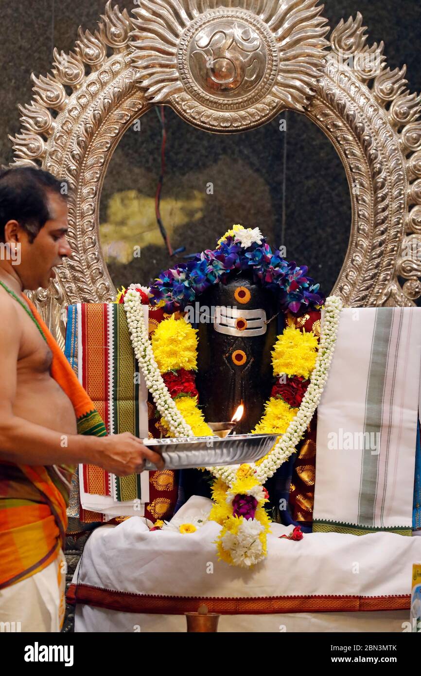 Hindu temple and shrine of Batu Caves. Hindu priest doing puja worship ...
