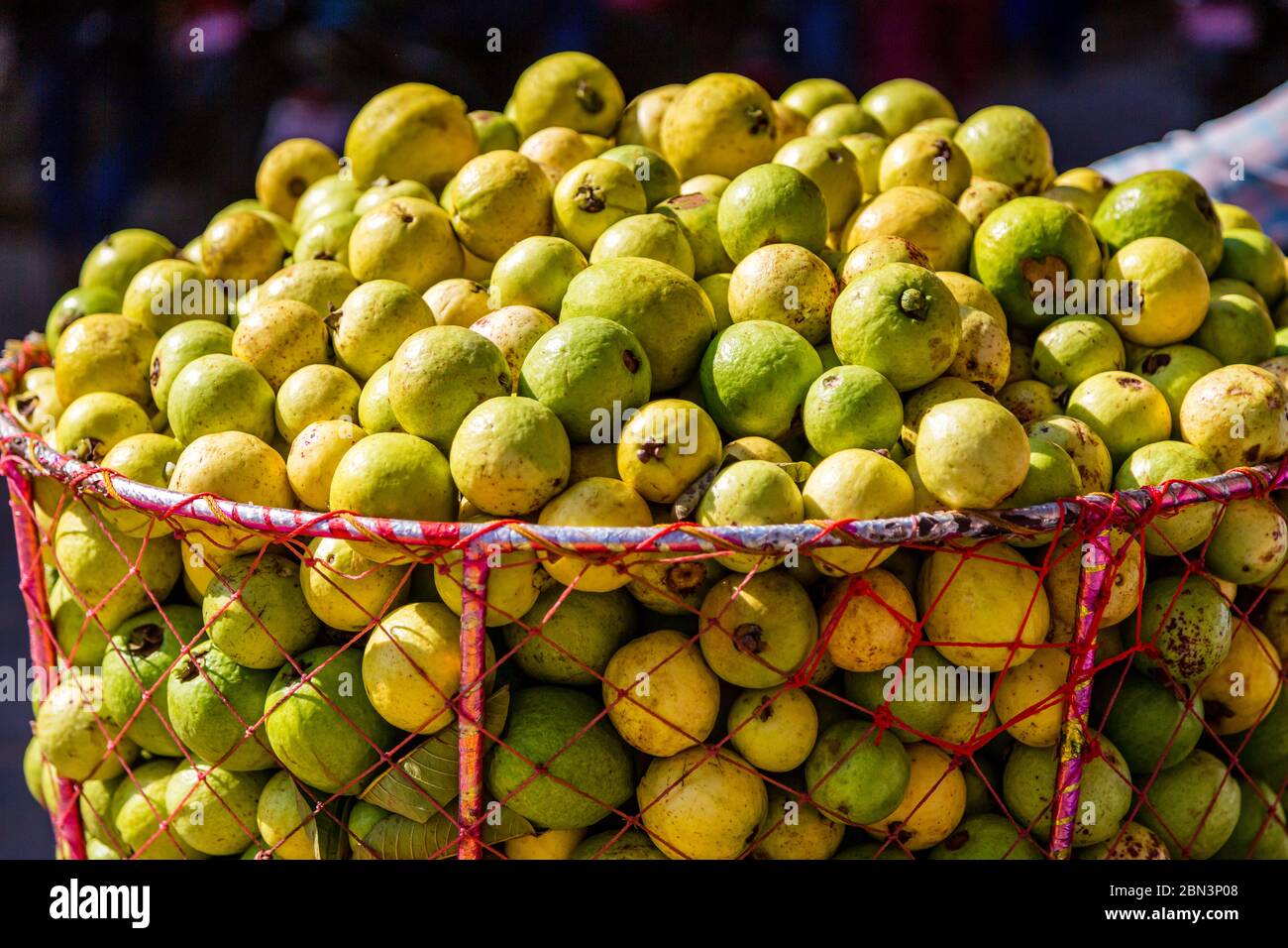 Sell guava fruits hi-res stock photography and images - Alamy