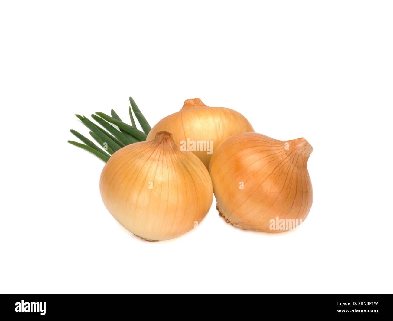 Onion half sprouting sliced hi-res stock photography and images - Alamy