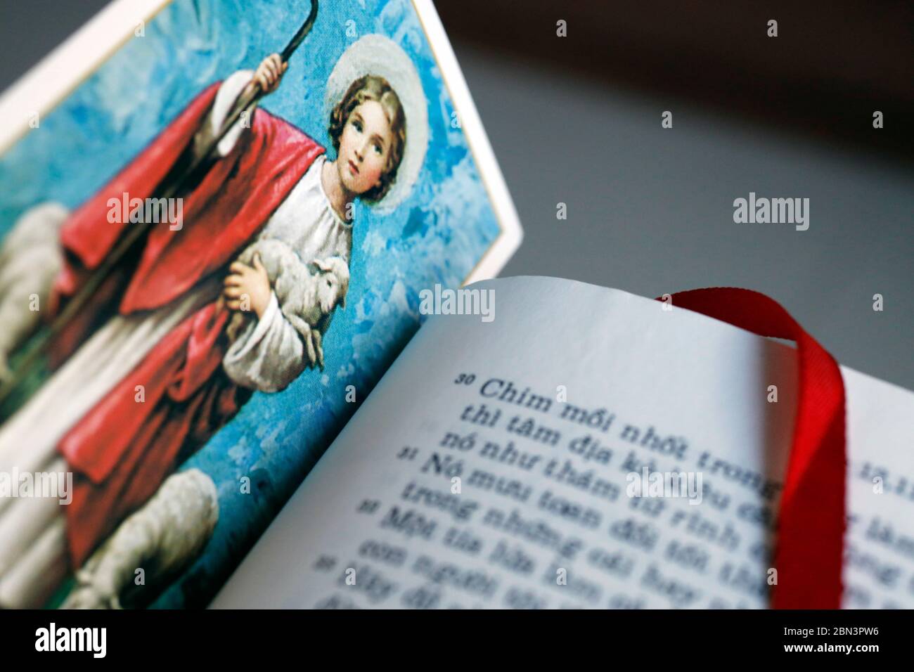 Holy picture with Jesus and vietnamese bible. Vietnam Stock Photo - Alamy