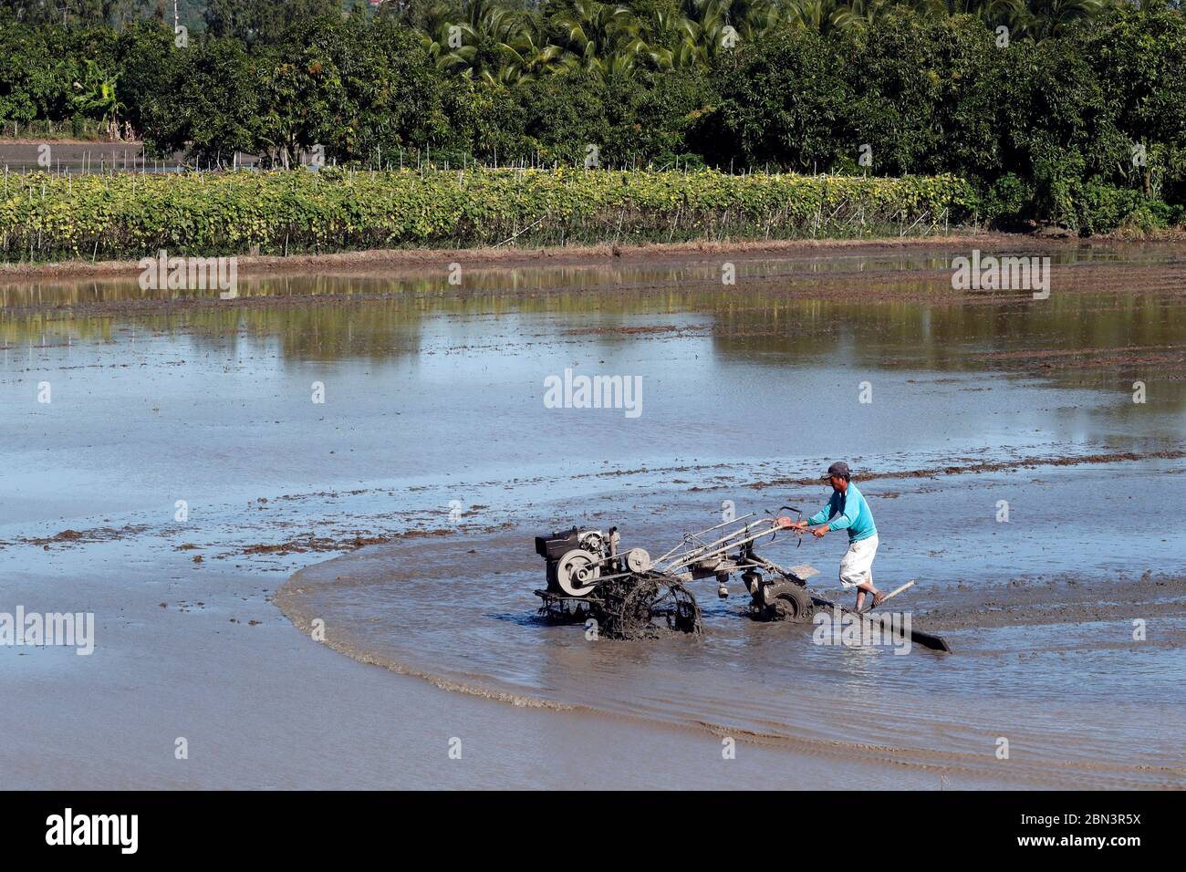 Man using a motorcycle farmer in rice field. Chau Doc. Vietnam Stock ...