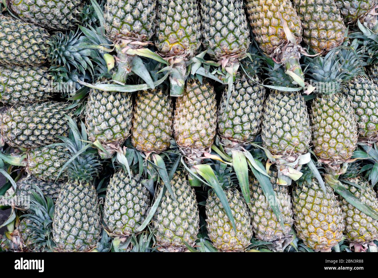 Ananas for sale at market. Vietnam Stock Photo - Alamy
