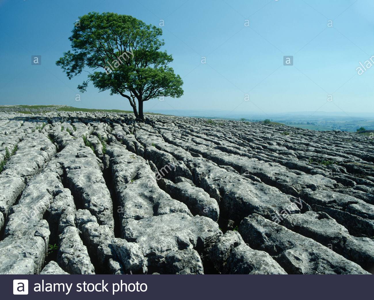 Karst Landform High Resolution Stock Photography and Images - Alamy