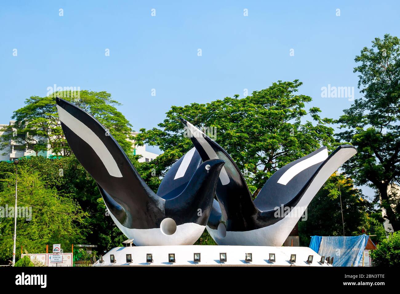 Robin magpie is national bird of bangladesh hi-res stock photography ...