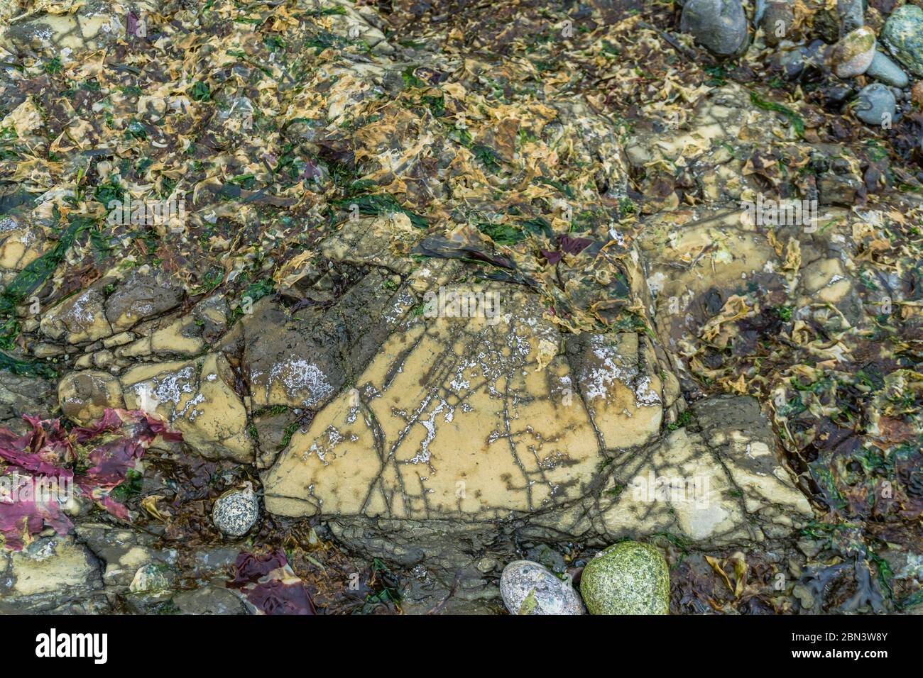 Rocky sea bed hi-res stock photography and images - Alamy