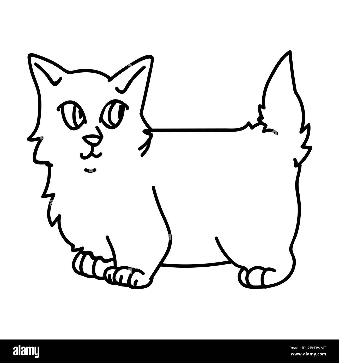 Cute cartoon munchkin kitten lineart vector clipart. Pedigree kitty ...