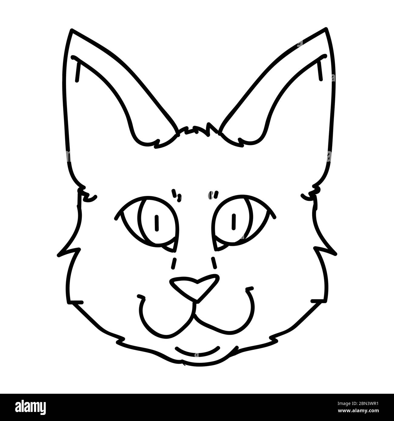 Cute cartoon munchkin cat face lineart vector clipart. Pedigree kitty ...