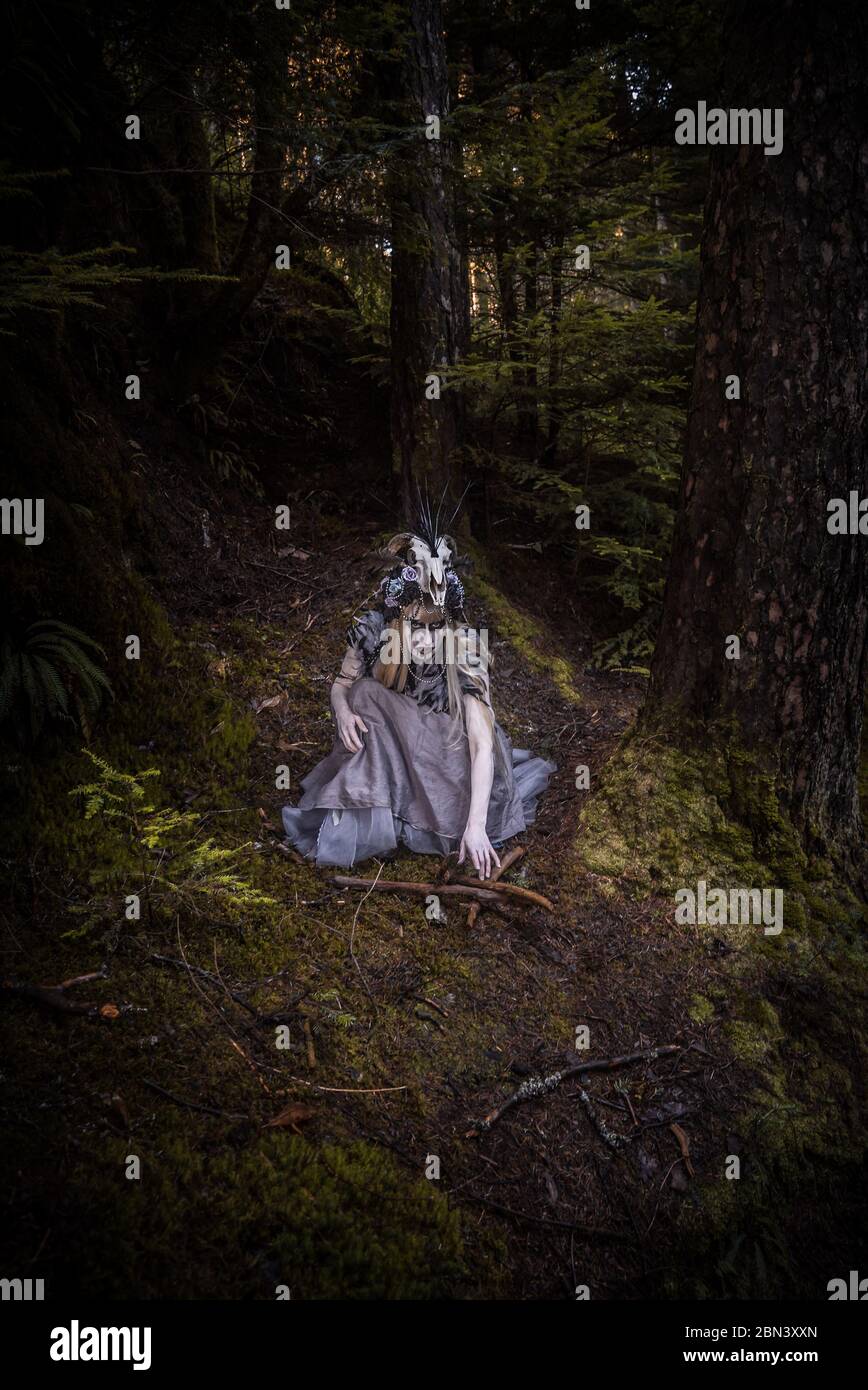 Despite my fears I pursued the creature North, intrigued by its history ...