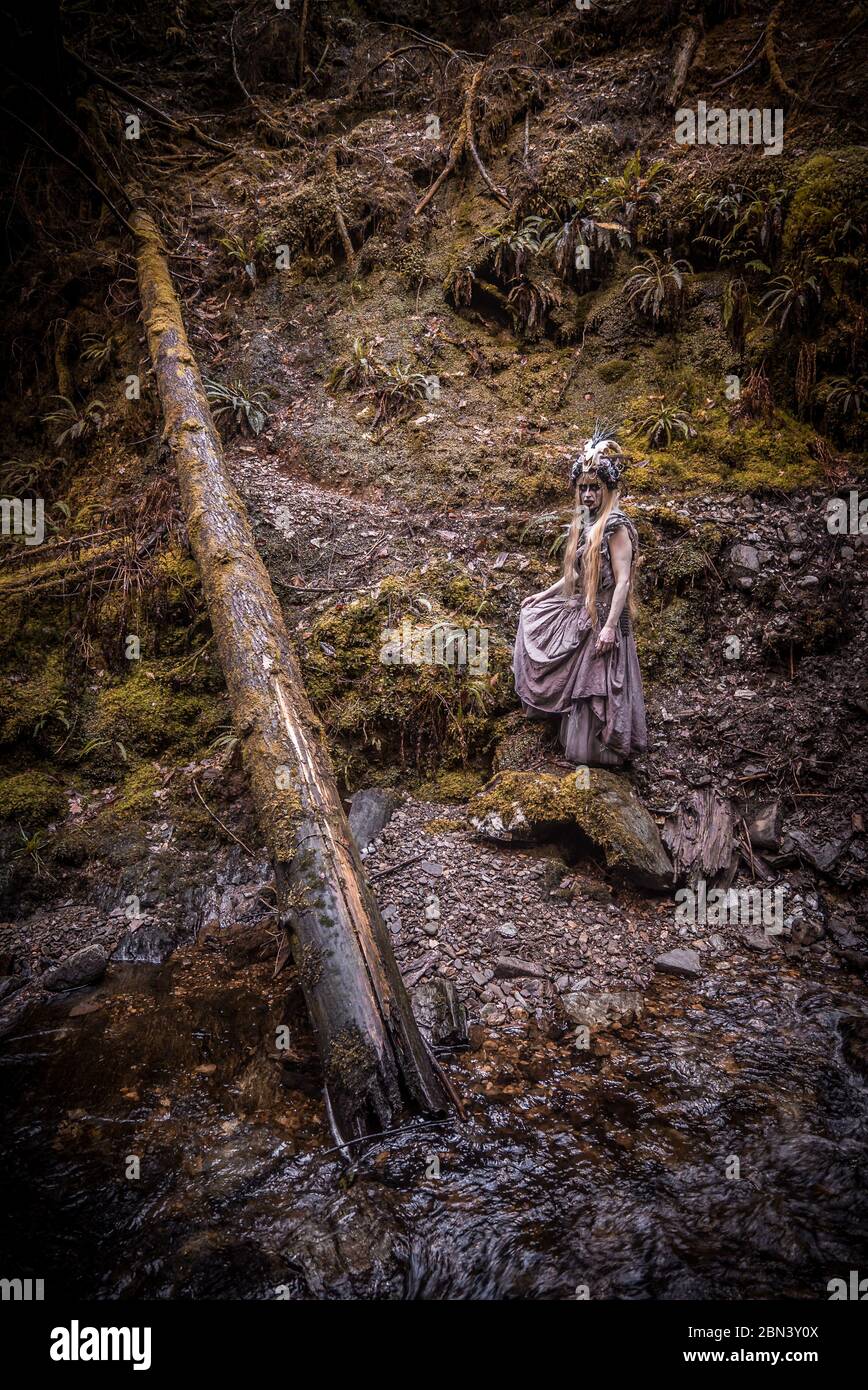 Despite my fears I pursued the creature North, intrigued by its history ...