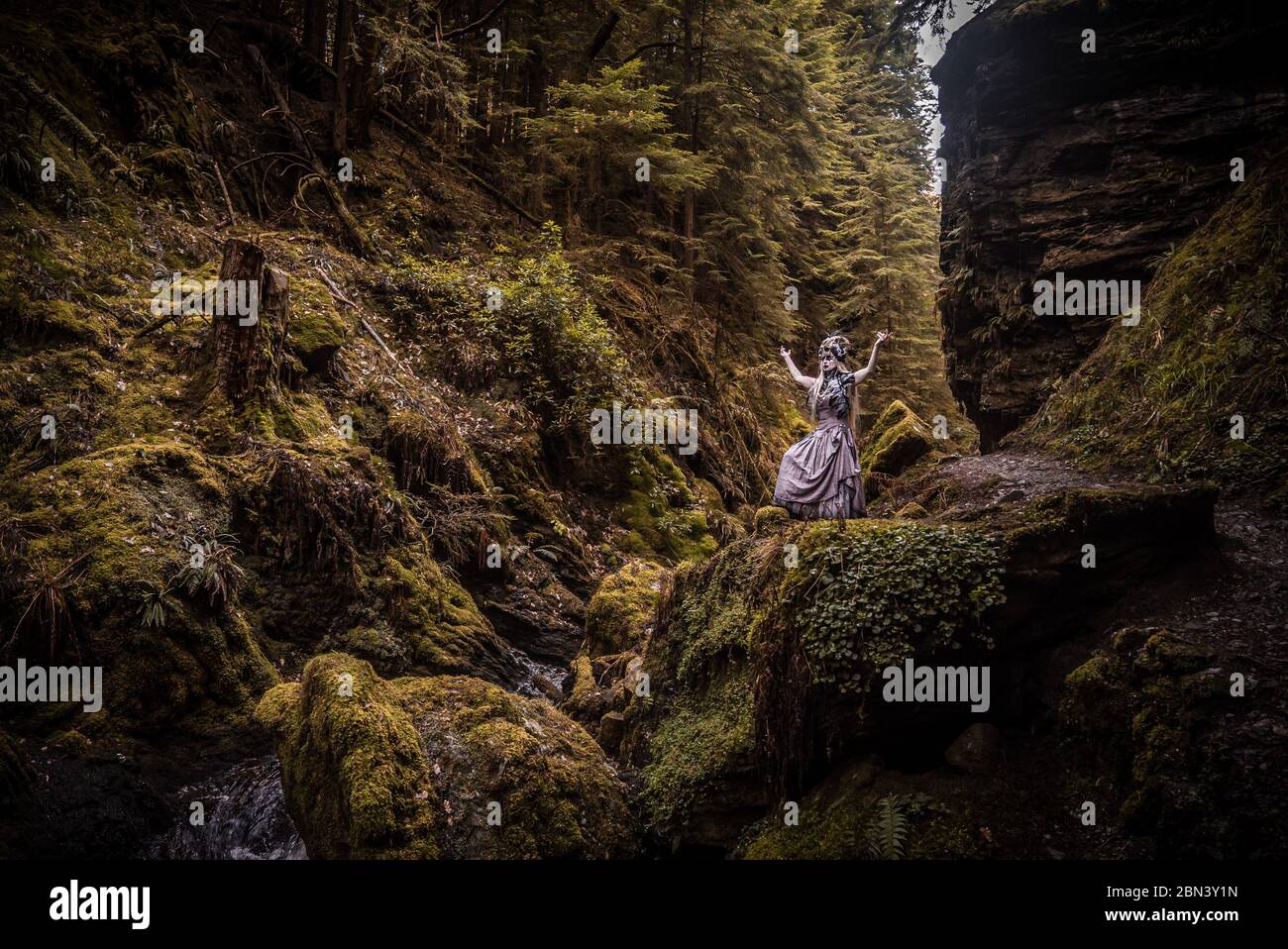 Despite my fears I pursued the creature North, intrigued by its history ...