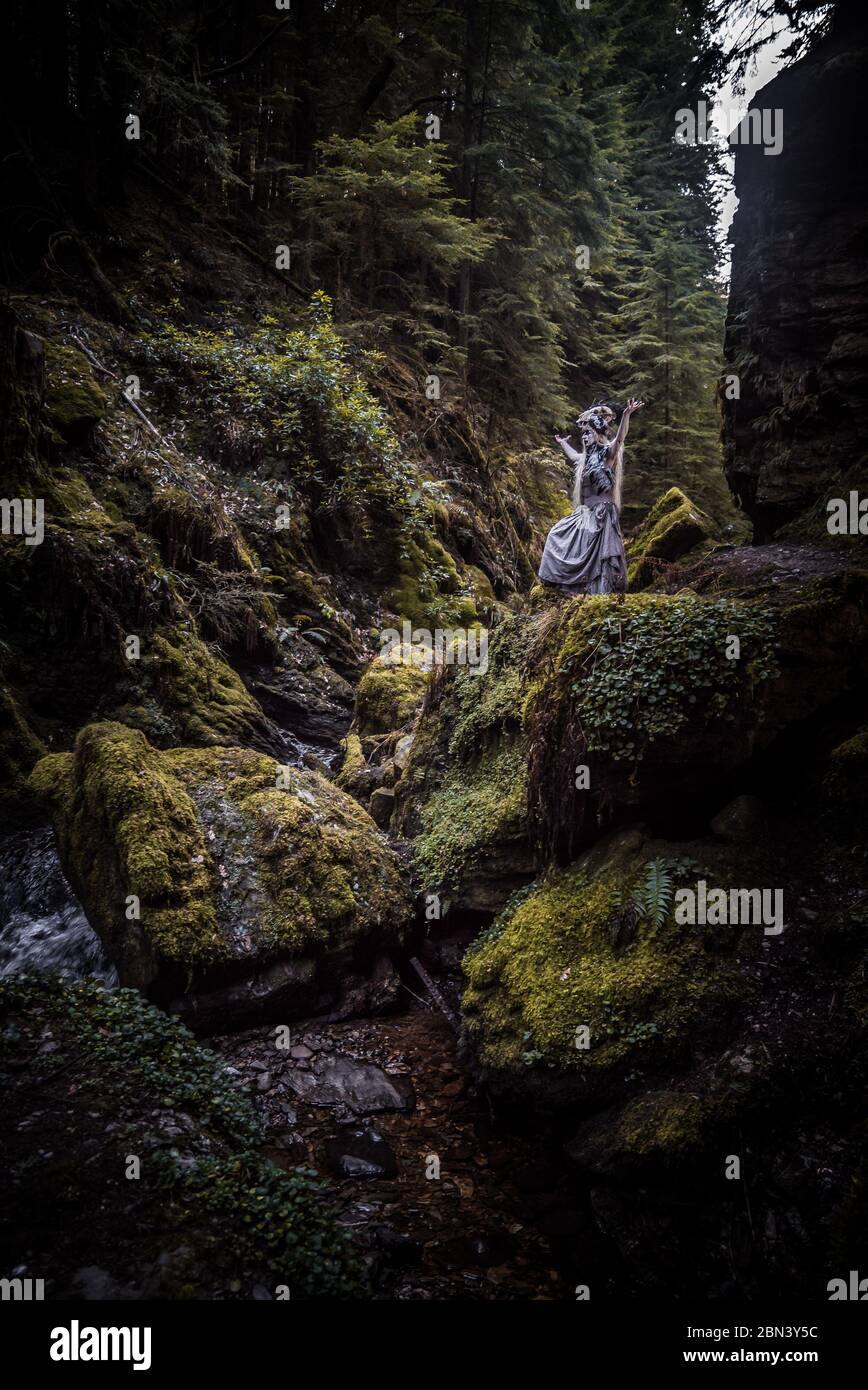 Despite my fears I pursued the creature North, intrigued by its history ...