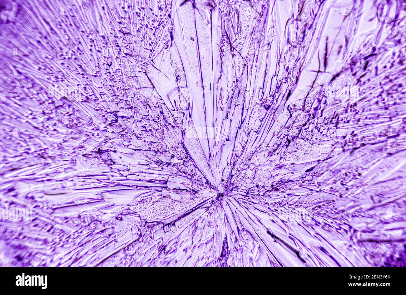 Sugar microscope hi-res stock photography and images - Alamy