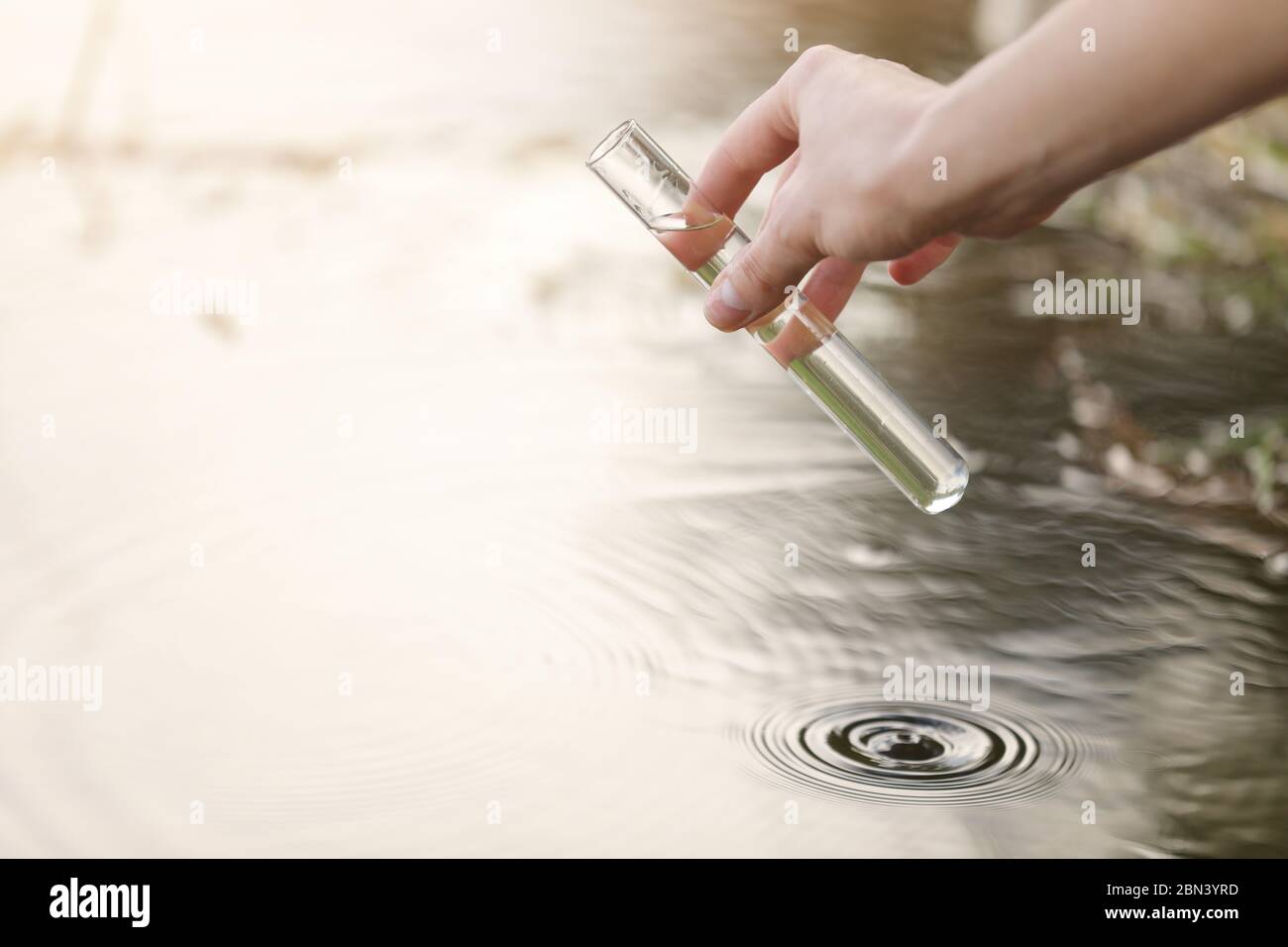 Pond water pollution concept. Scientist biologist and researcher takes ...