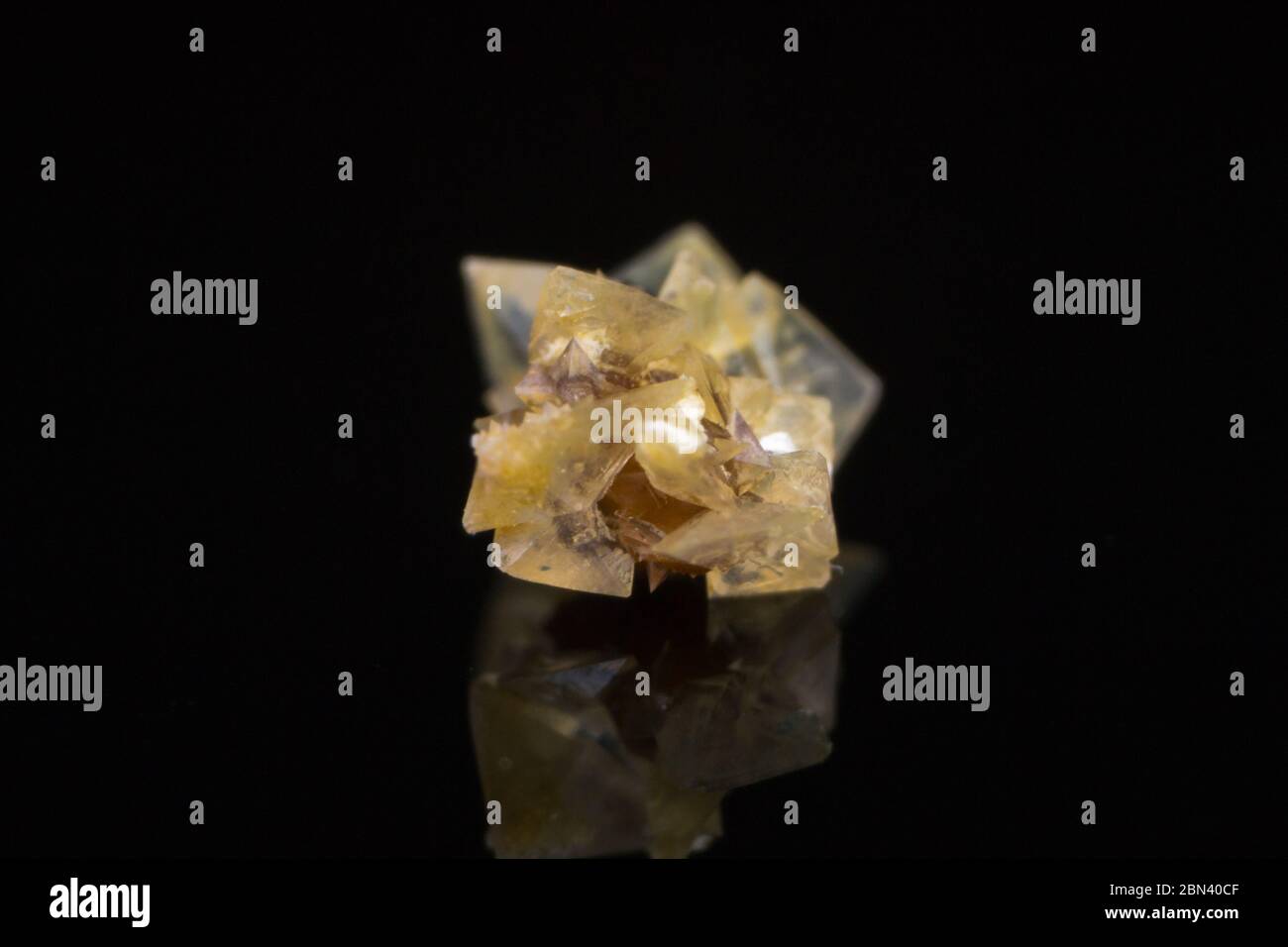 Kidney stone hi-res stock photography and images - Alamy