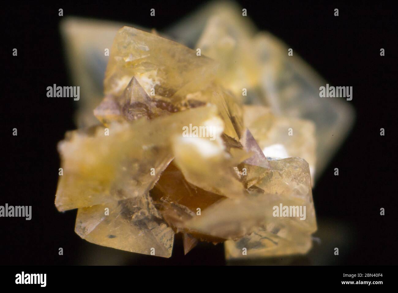 Kidney stone hi-res stock photography and images - Alamy