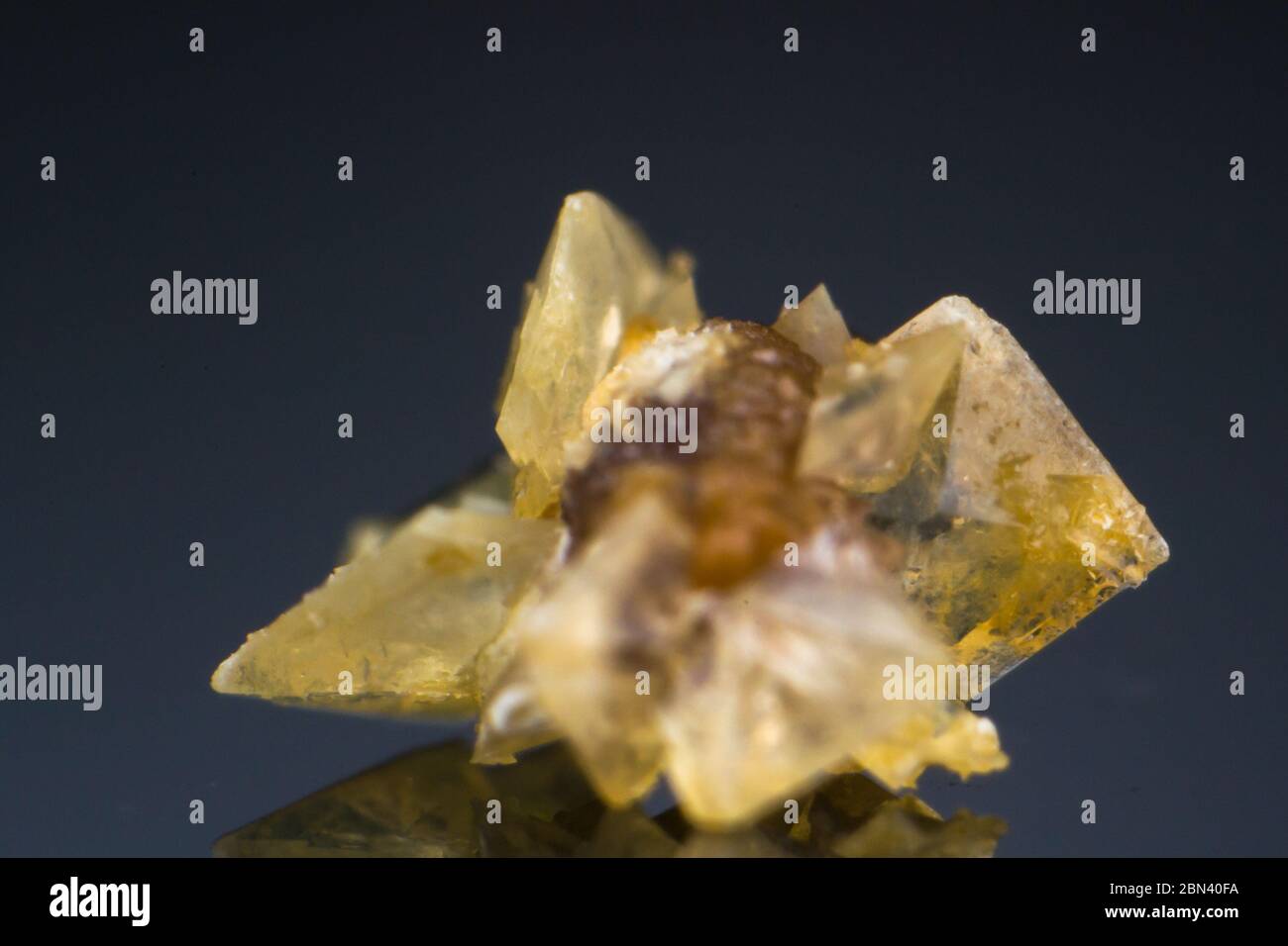 Kidney stone hi-res stock photography and images - Alamy