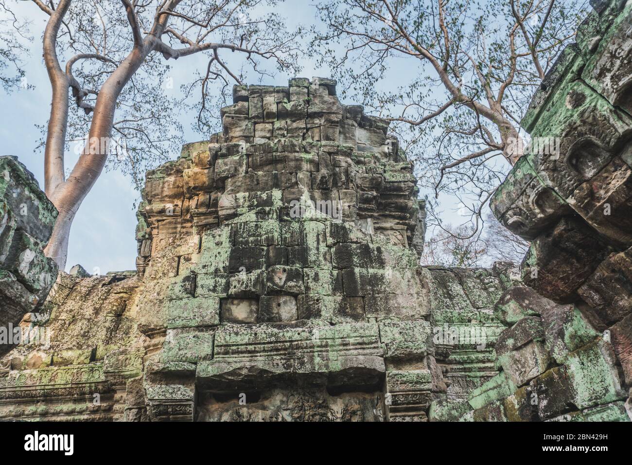 Cambodia Angkor Wat Ta Prohm Temple Tomb Raider Tree Roots Ruins ...