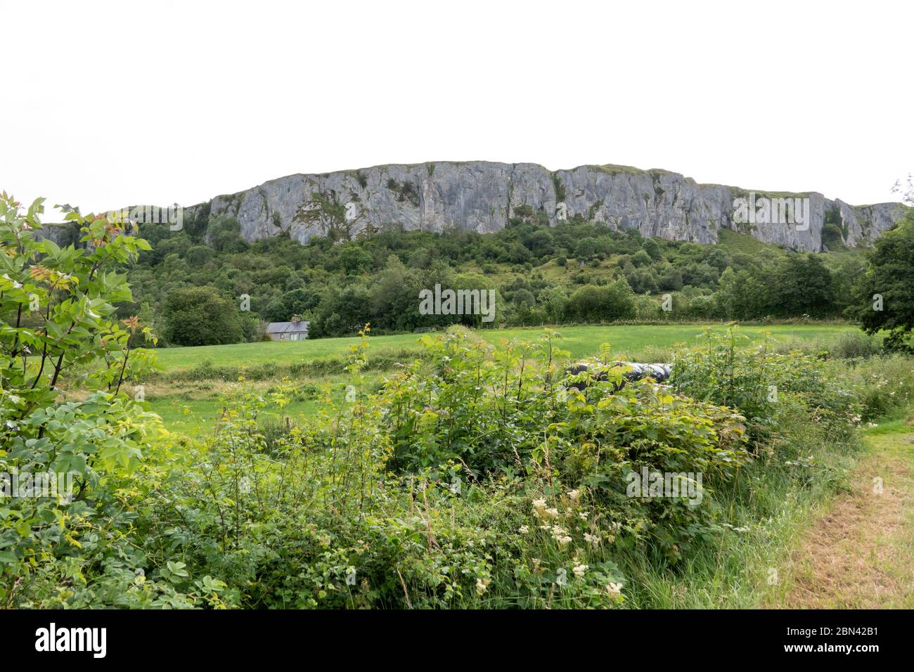 Knockmore road High Resolution Stock Photography and Images - Alamy