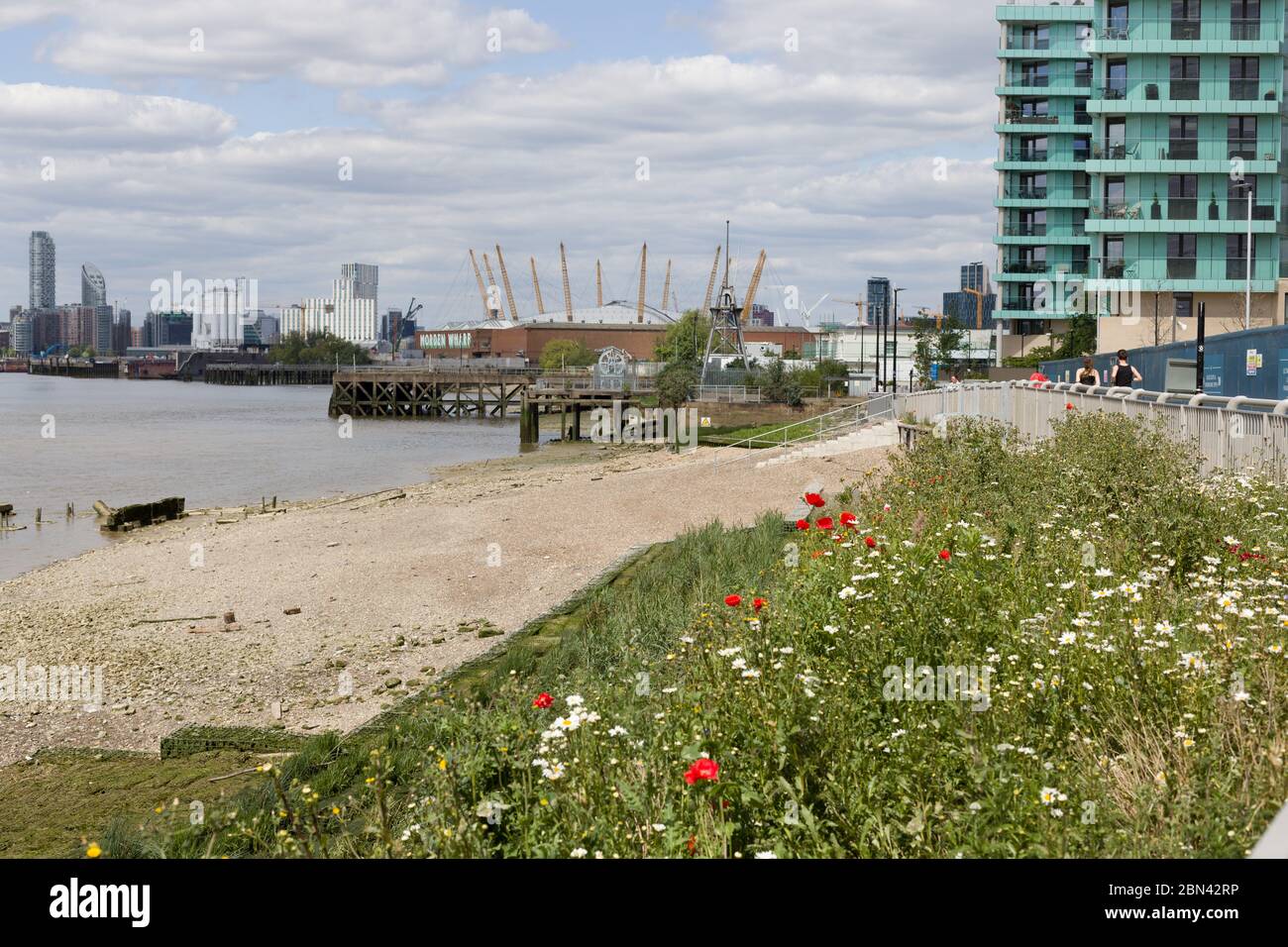 Thames Path and foreshore at Greenwich featuring Morden Wharf, River ...