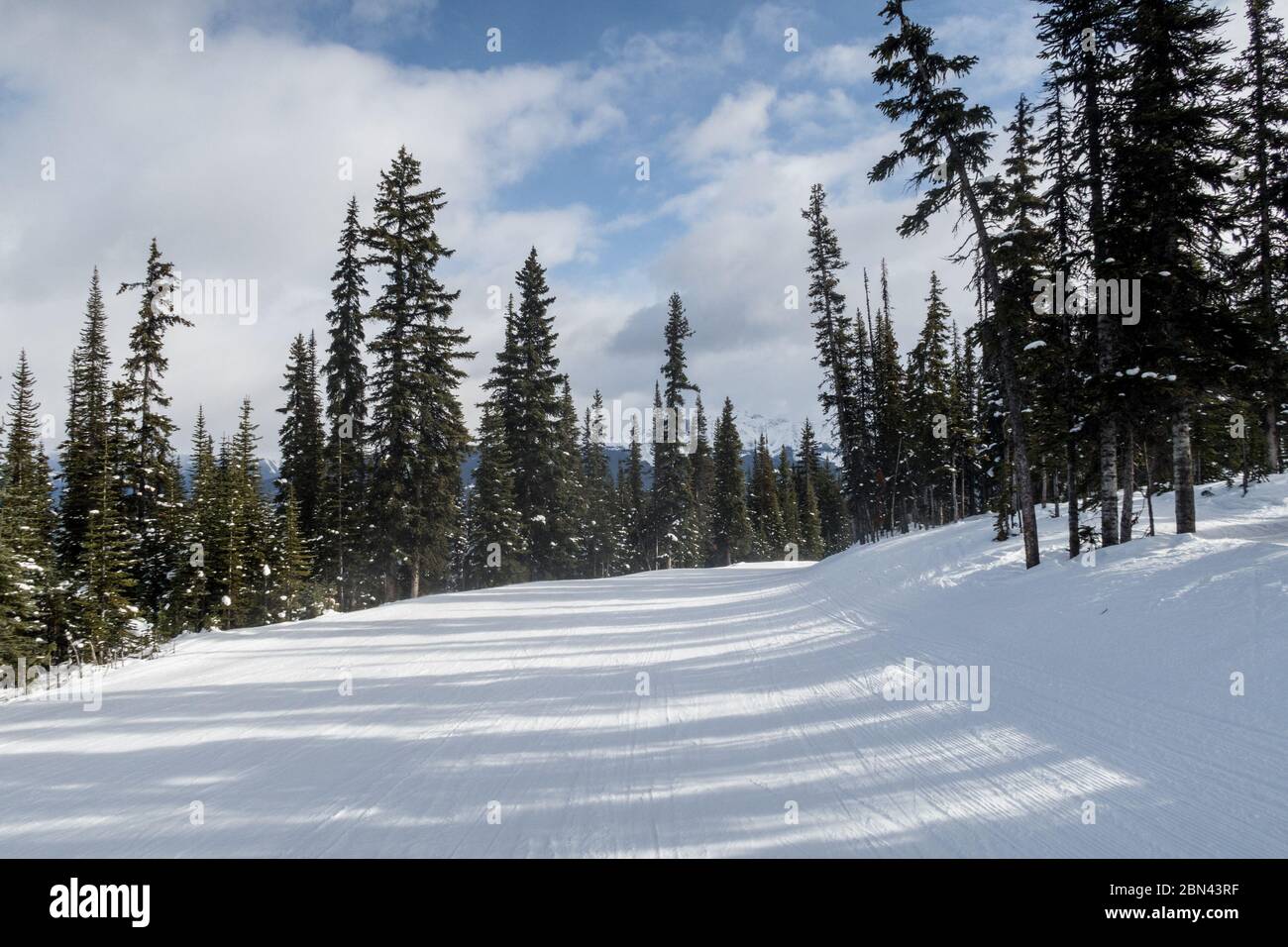 Tree runs at a ski resort. Empty slopes can be seen Stock Photo - Alamy