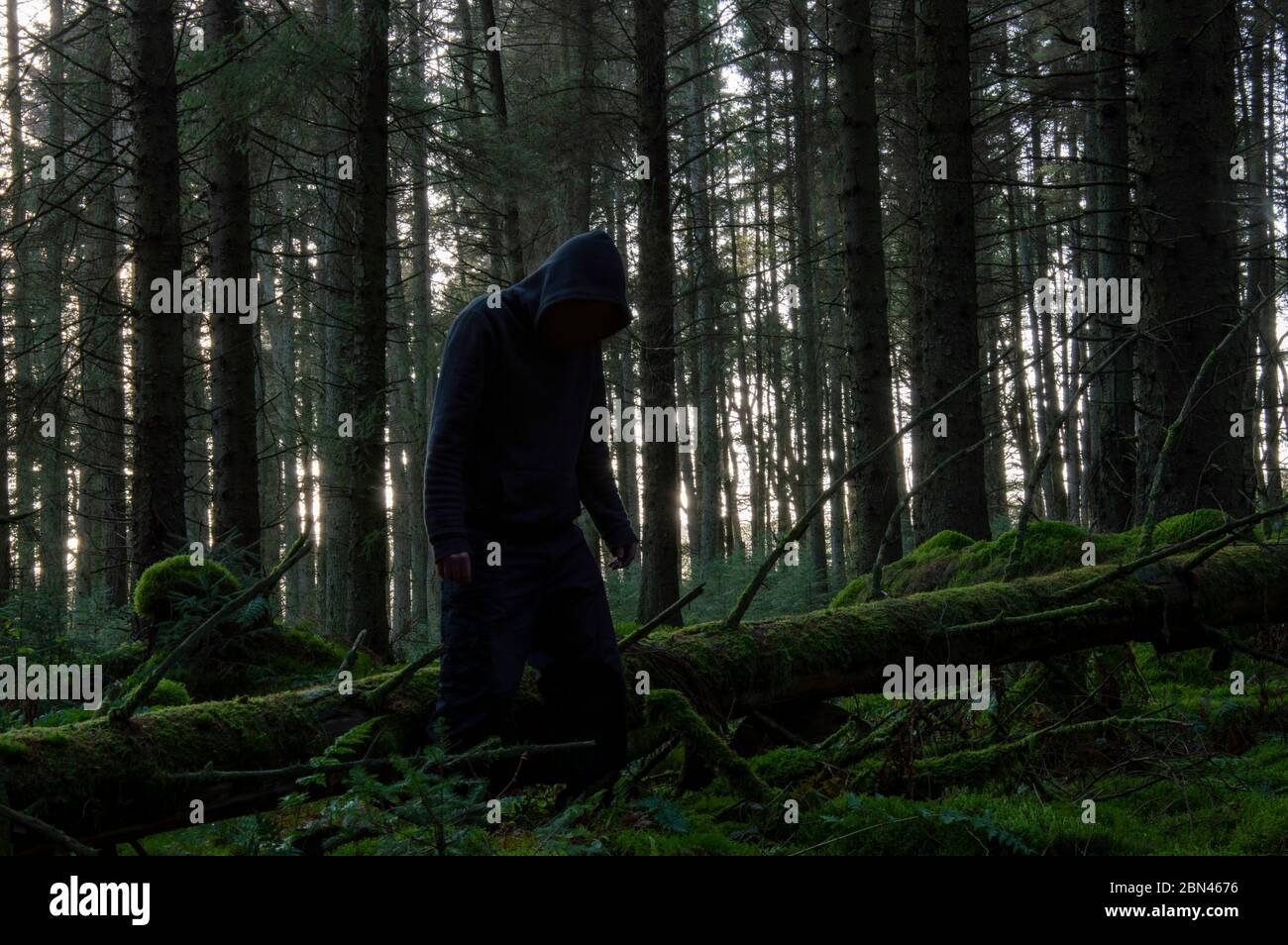 Spooky tree and figure hi-res stock photography and images - Alamy