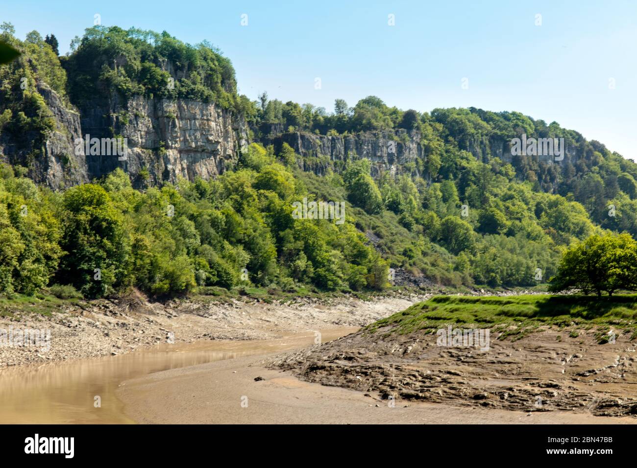 River Wye at Lancaut Nature Reserve during low tide Stock Photo - Alamy