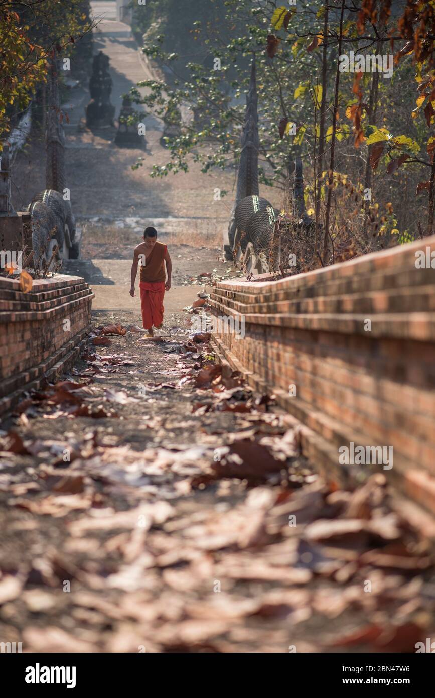 Buddhist monk climbing temple stairs hi-res stock photography and ...
