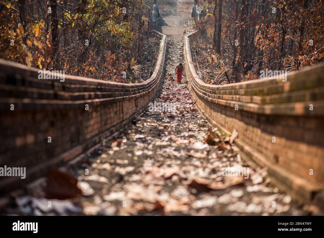 Buddhist monk climbing temple stairs hi-res stock photography and ...