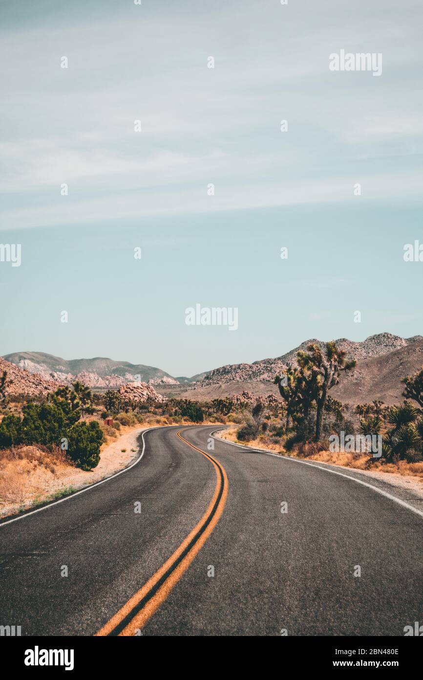 Joshuatree hi-res stock photography and images - Alamy
