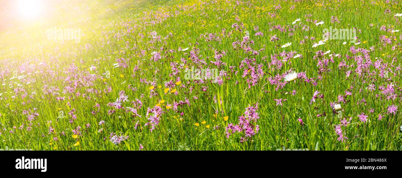 Sunbeams rural hi-res stock photography and images - Alamy