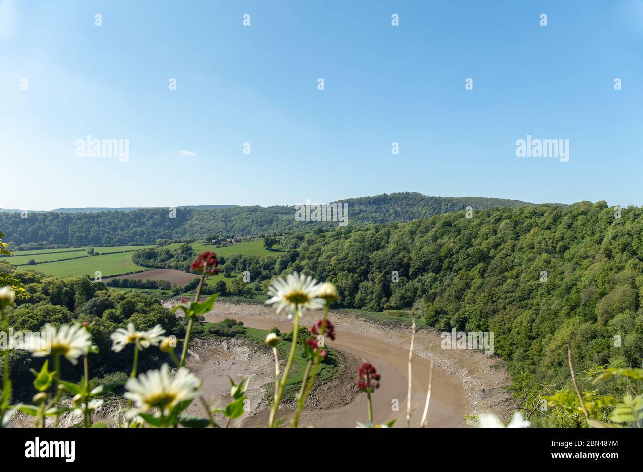 River Wye at Lancaut Nature Reserve during low tide with spring flowers ...