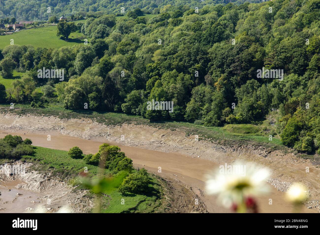 River Wye at Lancaut Nature Reserve during low tide Stock Photo - Alamy