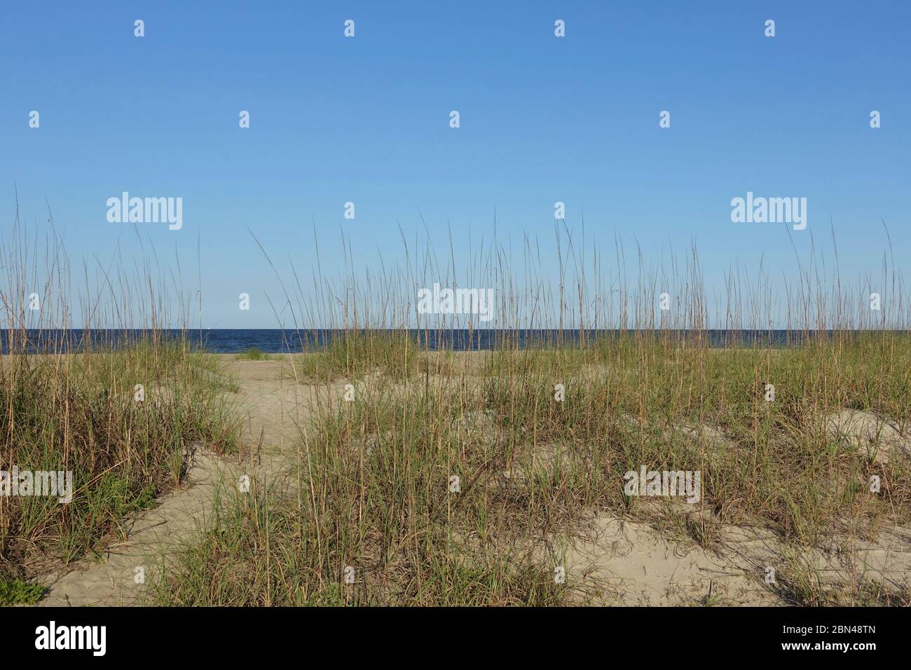 View of an empty sandy beach in Tybee Island, near Savannah, Georgia ...