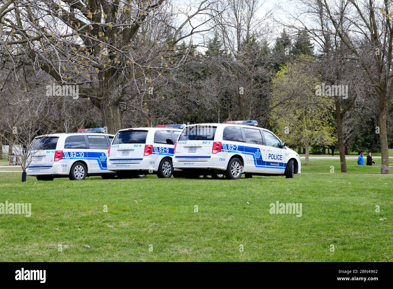 Montreal police cars parked in city park as the monitor group Stock ...