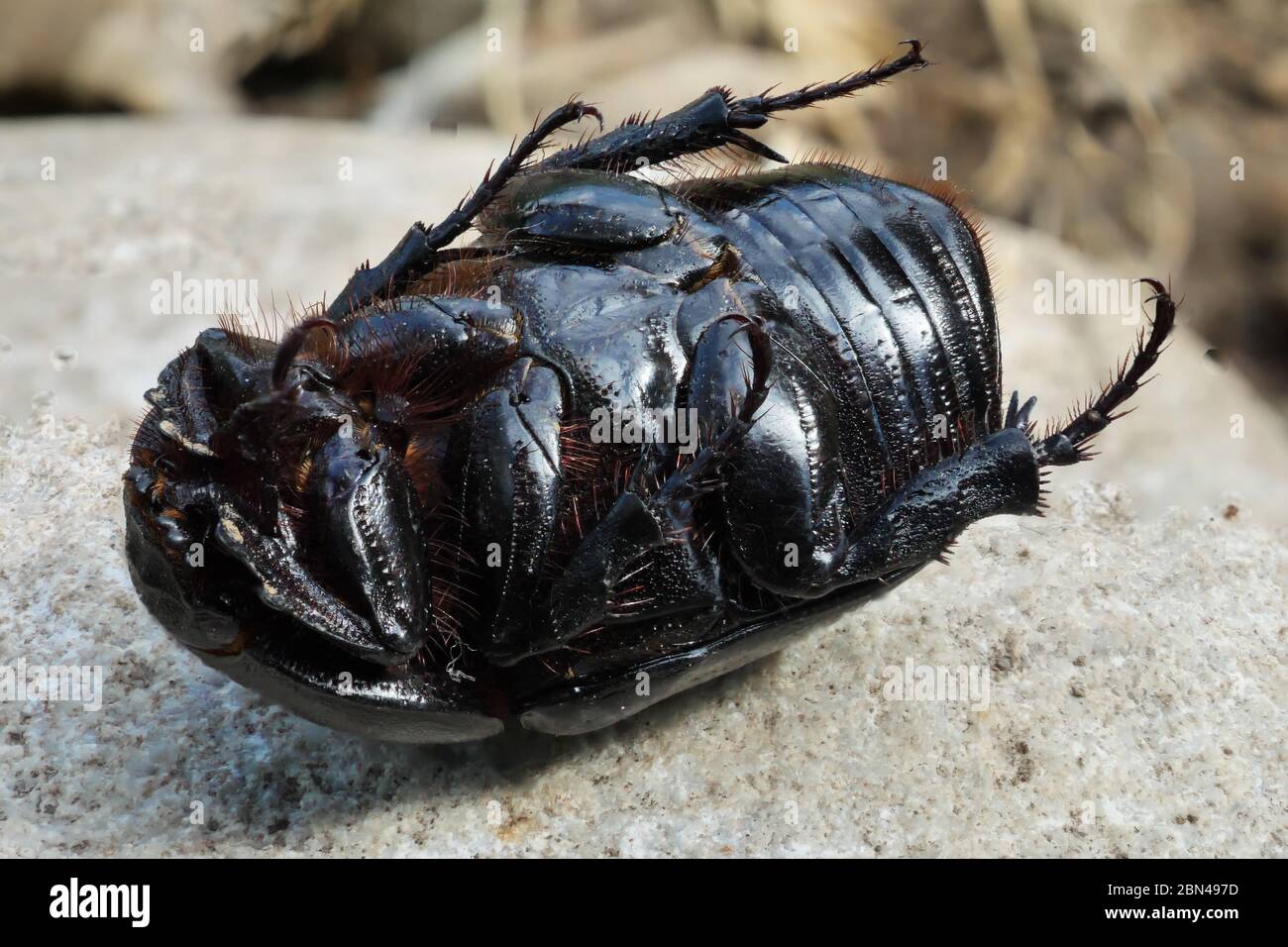 Rock staking hi-res stock photography and images - Alamy