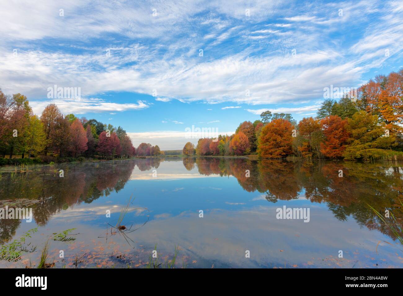 Autumn colored trees reflection on the water Stock Photo - Alamy