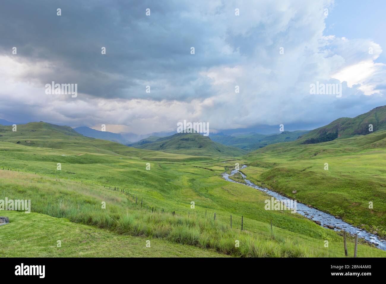 Rain on the mountain and the river flowing in a green valley Stock ...