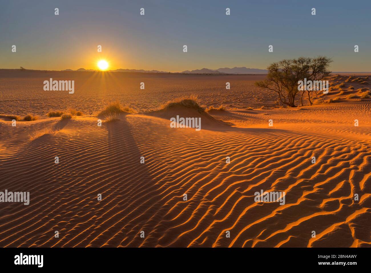 Sunset side light ripples in the sand Stock Photo - Alamy