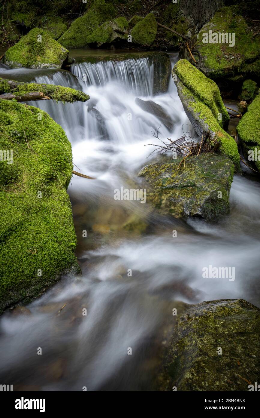 Small river cascade and mossy green rocks in the mountains of north ...