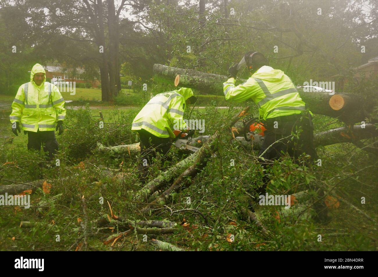 U.S. Customs and Border Protection (CBP) and U.S. Border Patrol teams ...