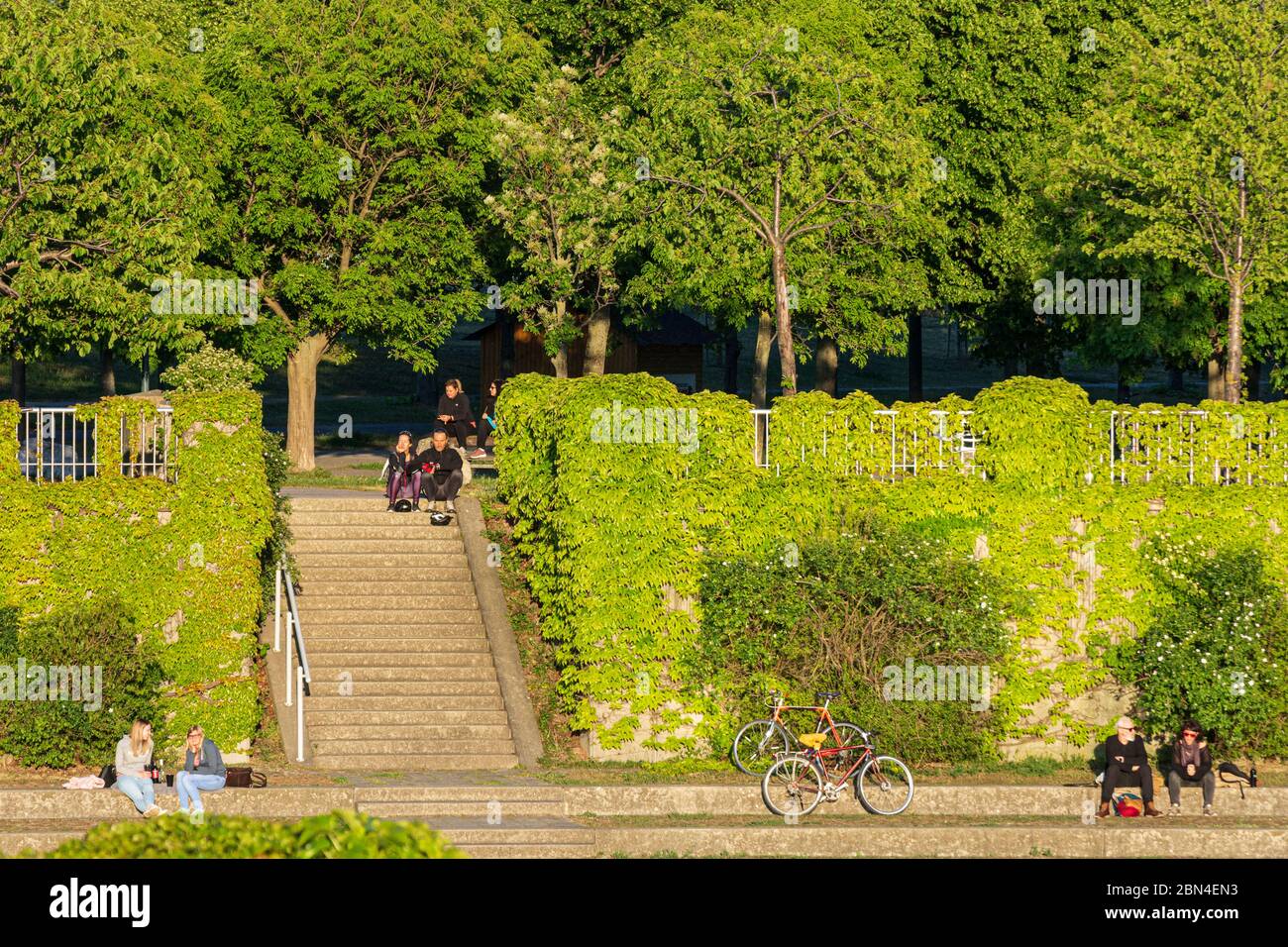 Wien, Vienna: people sitting relaxing at river Neue Donau (New Danube ...