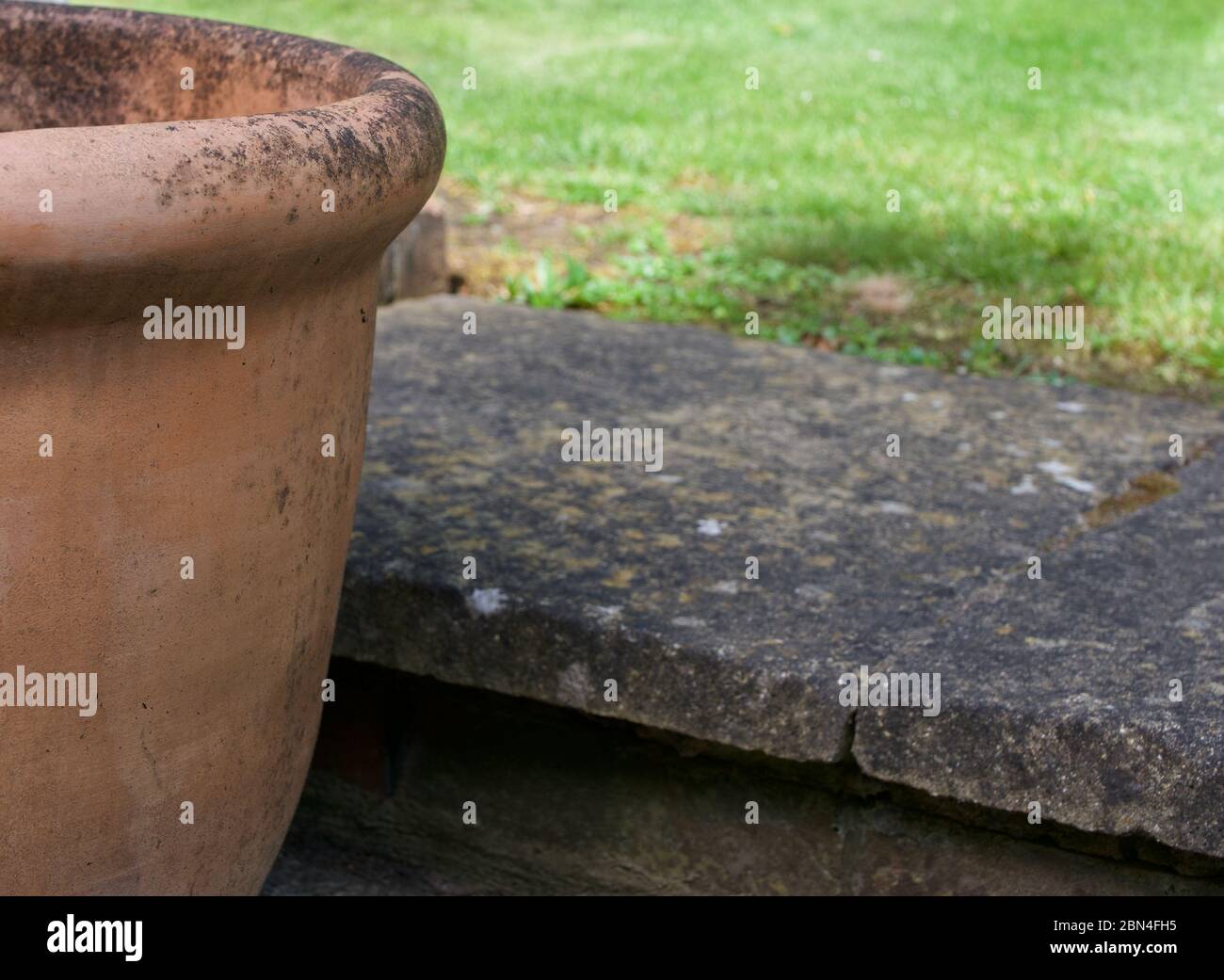 Edge of terracotta pot beside step in green lawned garden Stock Photo ...