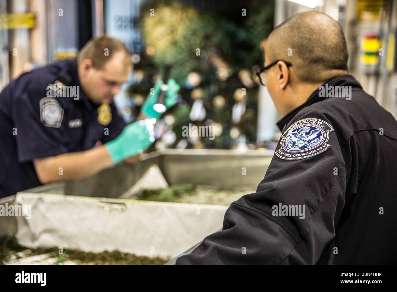A U.S. Customs and Border Protection (CBP) agriculture specialist ...