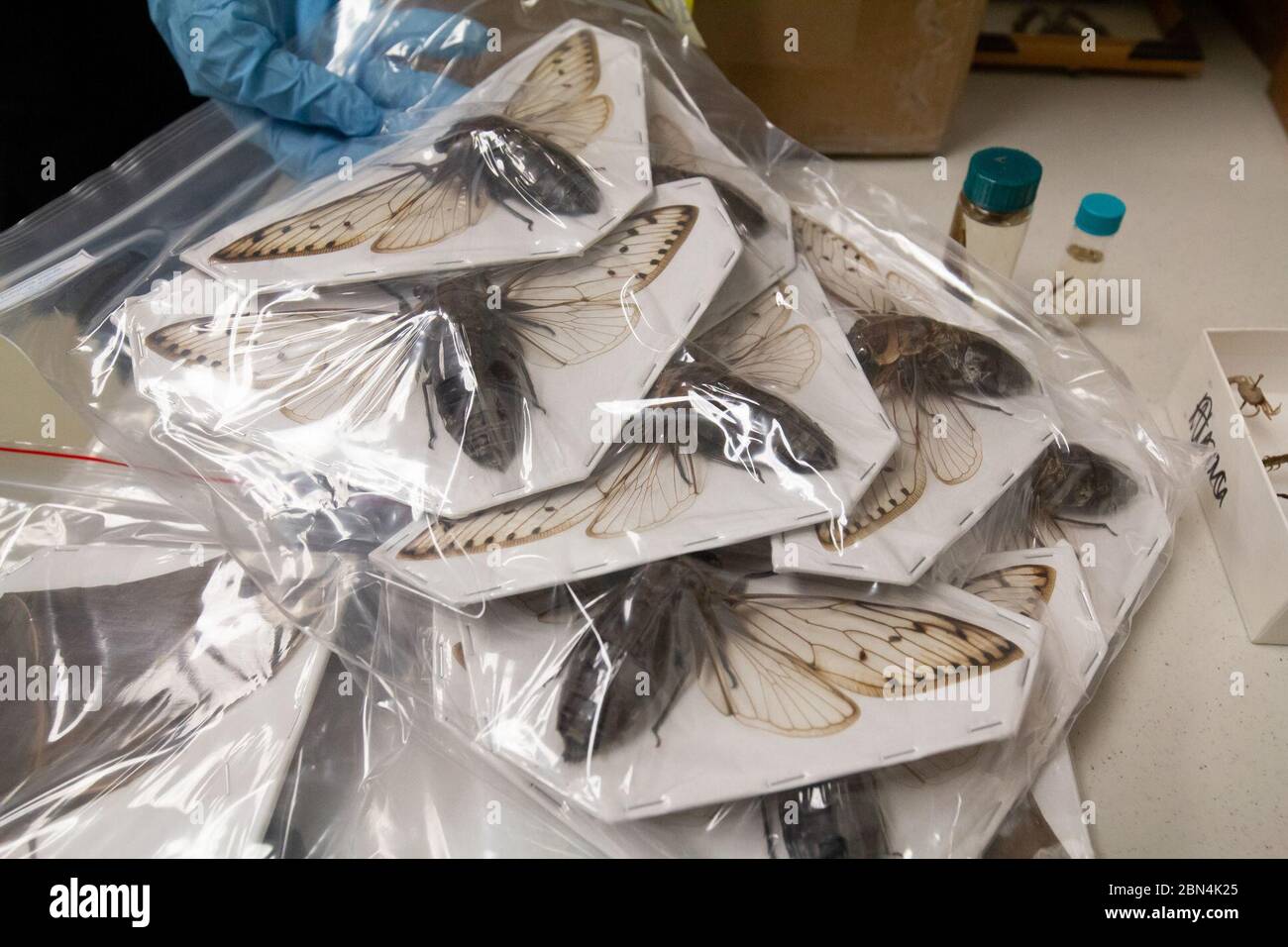 On February 21, 2020, U.S. Customs and Border Protection officers at ...