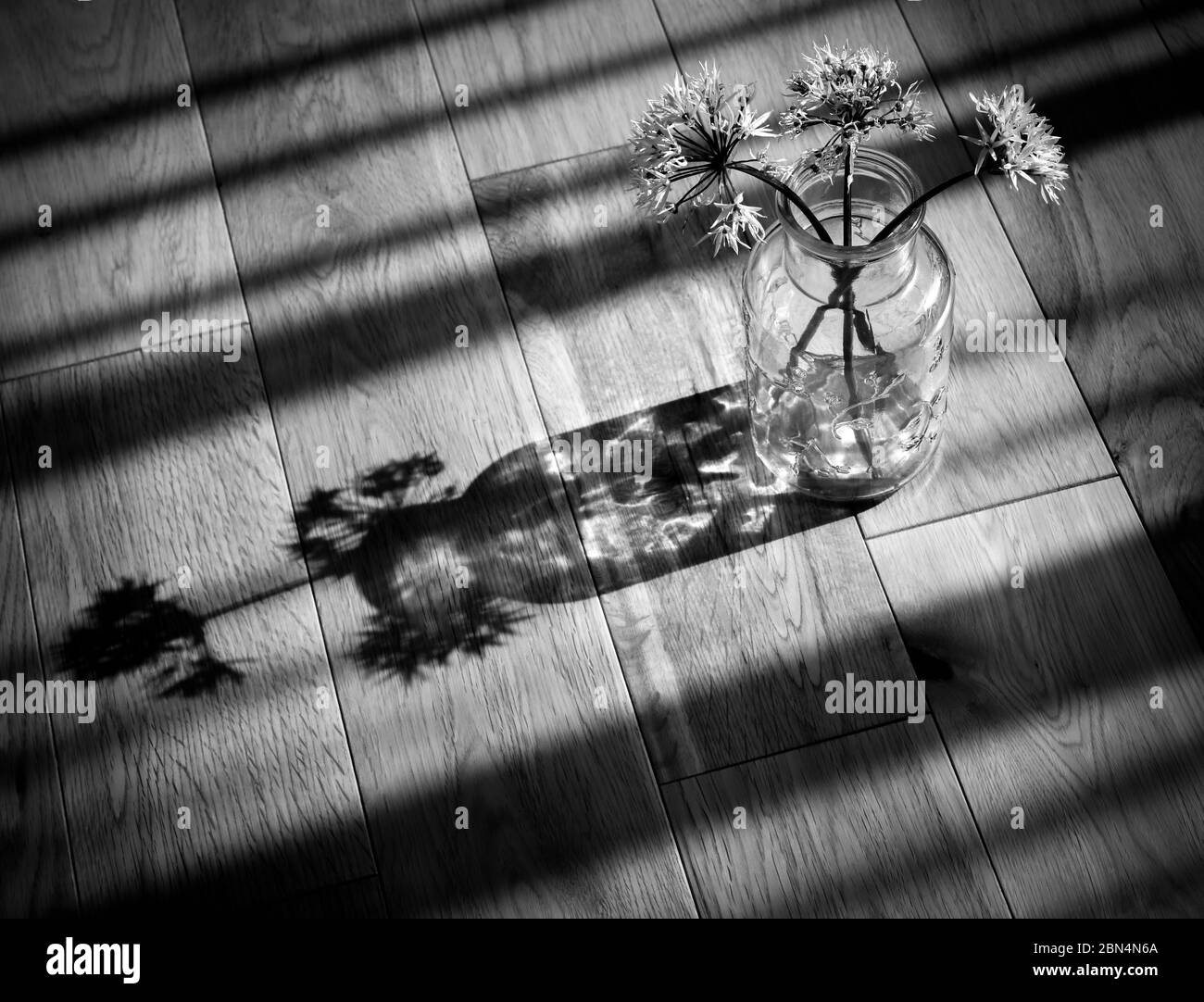 Flower shadows on floor Stock Photo - Alamy
