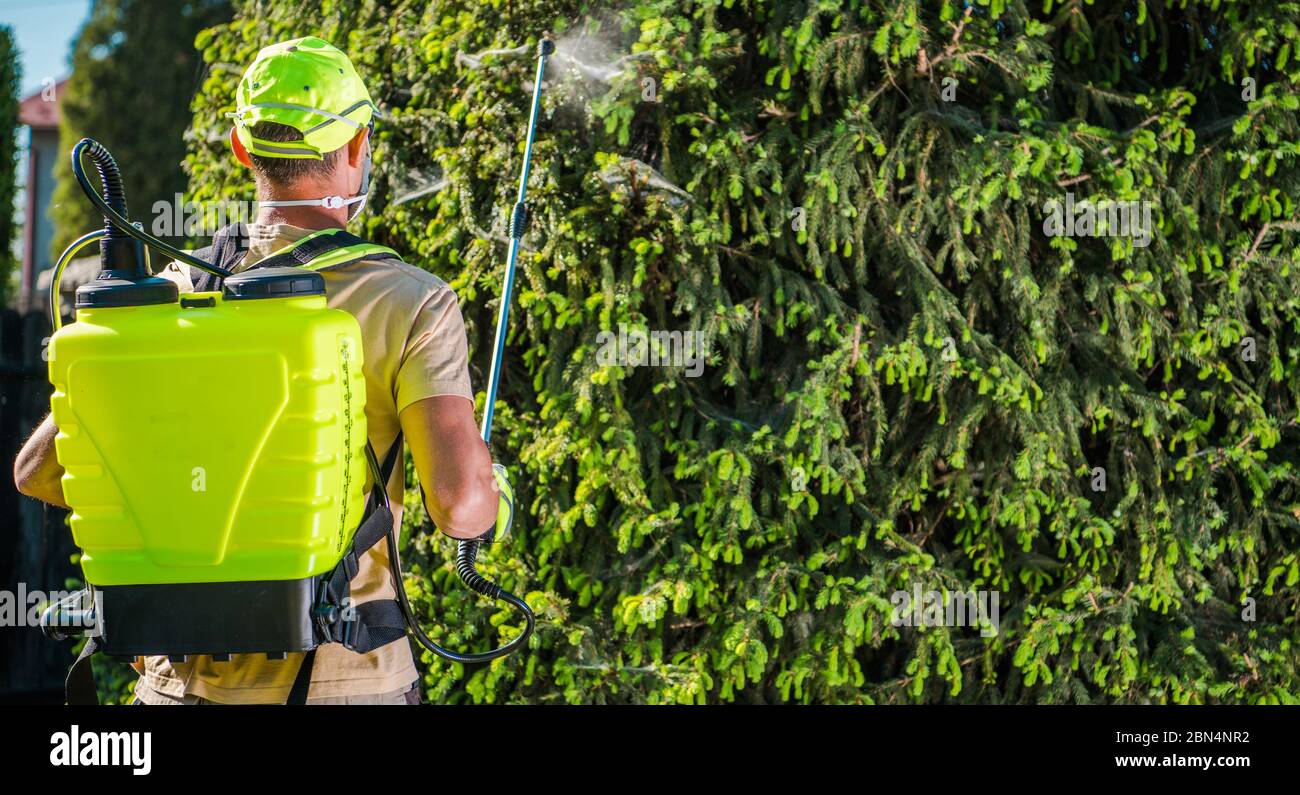 Man killing insects hi-res stock photography and images - Alamy