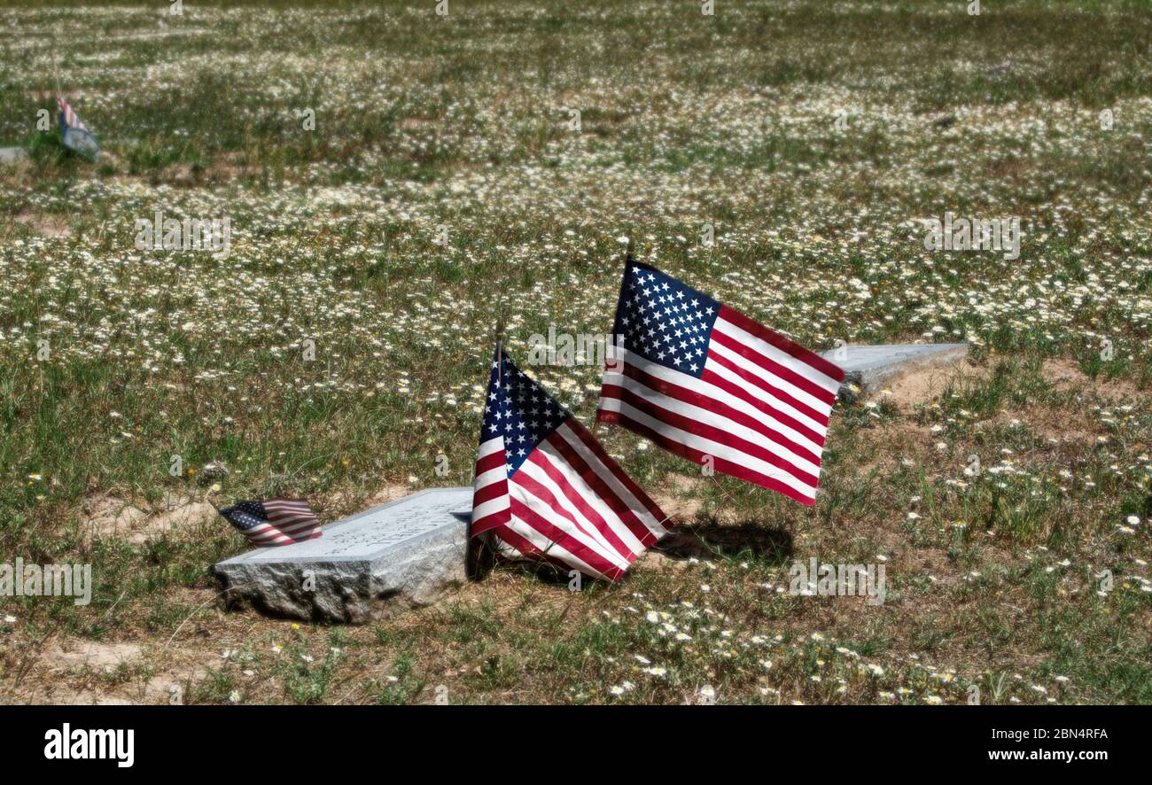 Headstone in Texas cemetery with American flags Stock Photo - Alamy